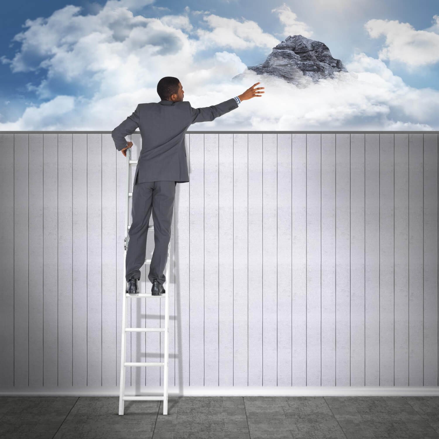 You need a ladder in life – Human Capital